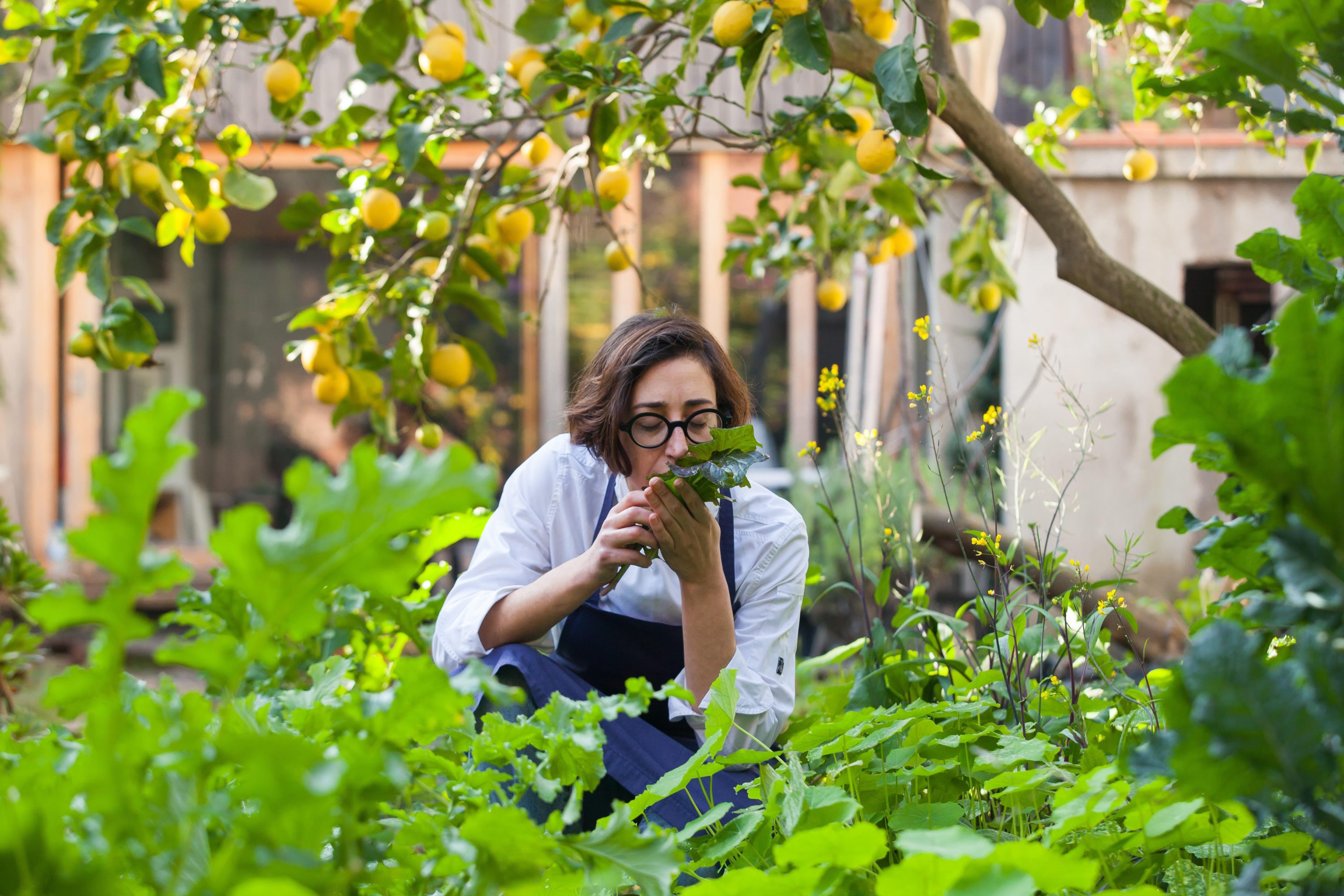 Yurbban Hotels - Blog